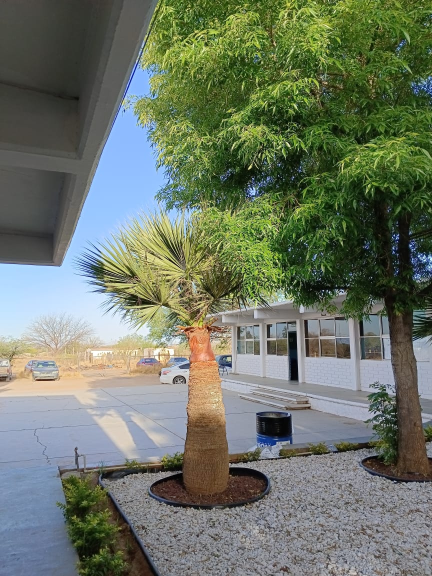 Galeria del Proyecto